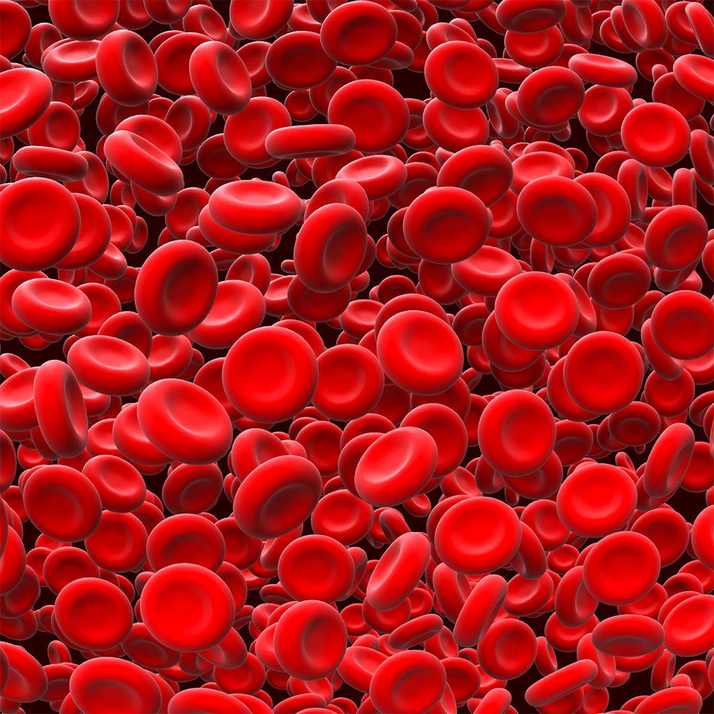 The Life in the Blood – Otherworld Well