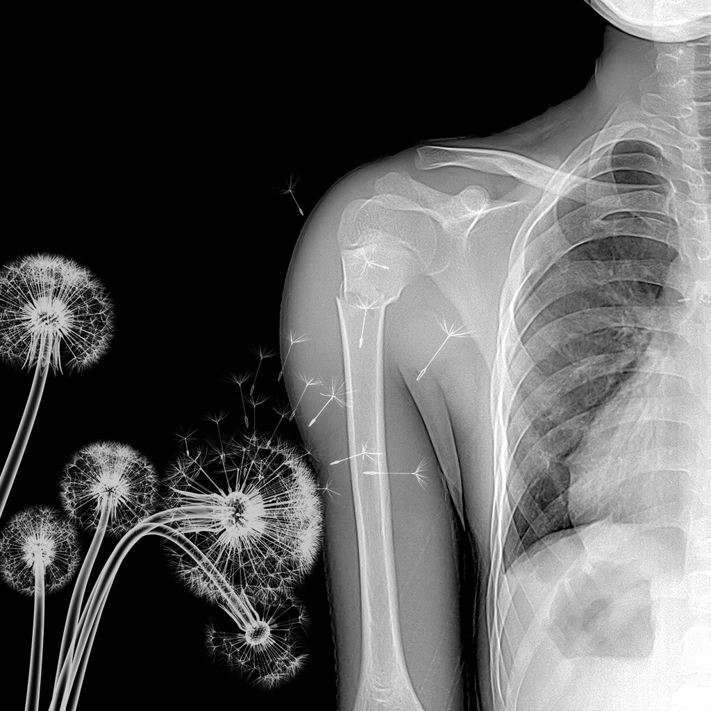 Bones and Bone Medicines – Otherworld Well